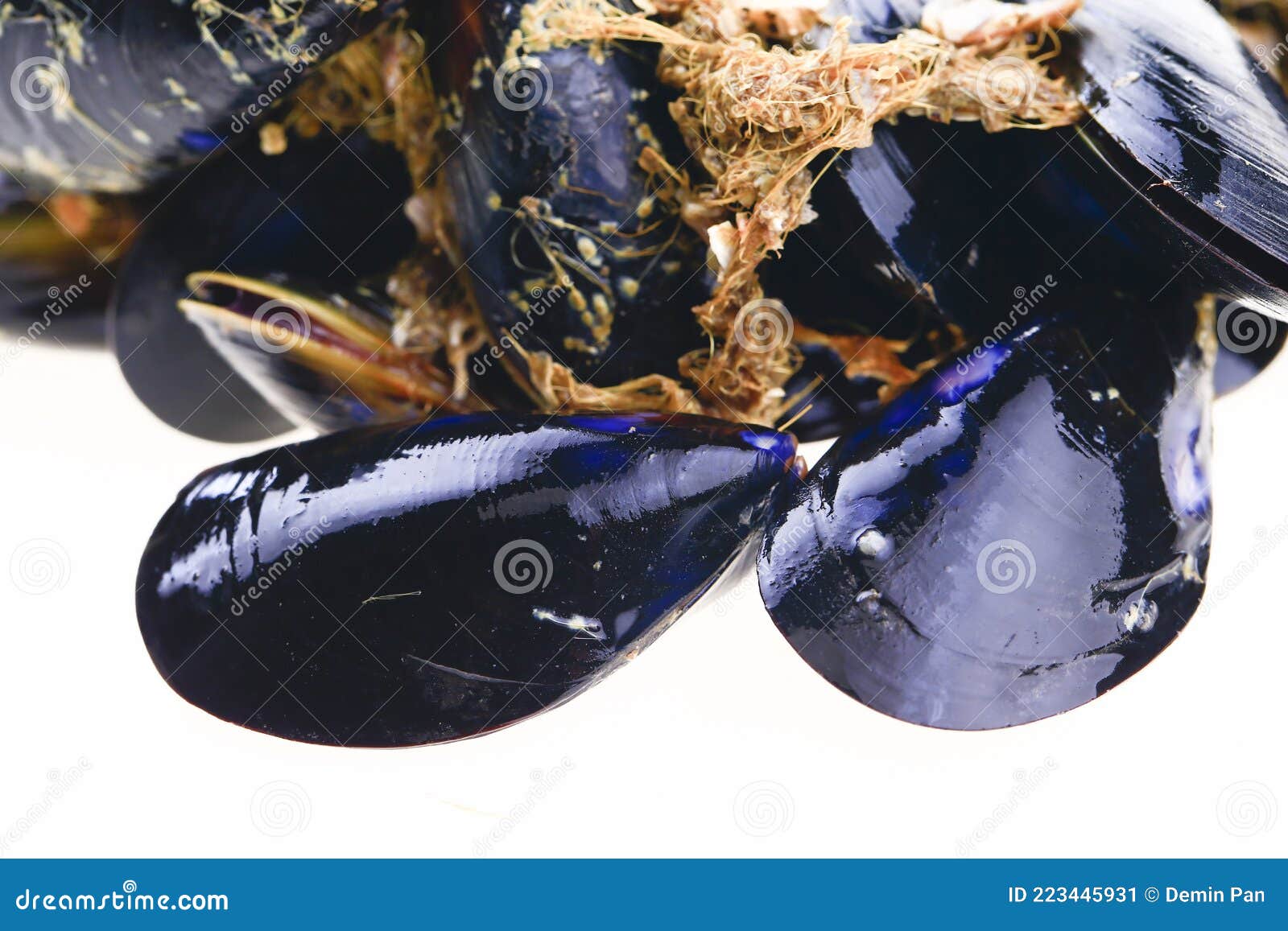 Mussels on a White Background Stock Image - Image of health, ingredient ...