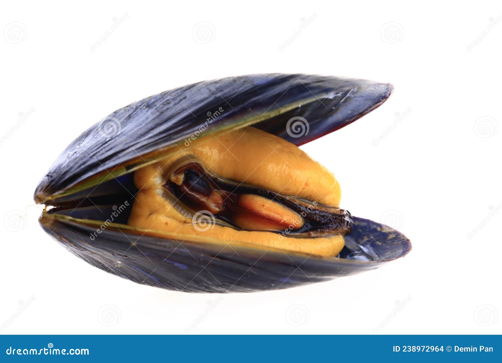 Mussels on a White Background Stock Photo - Image of protein, gourmet ...
