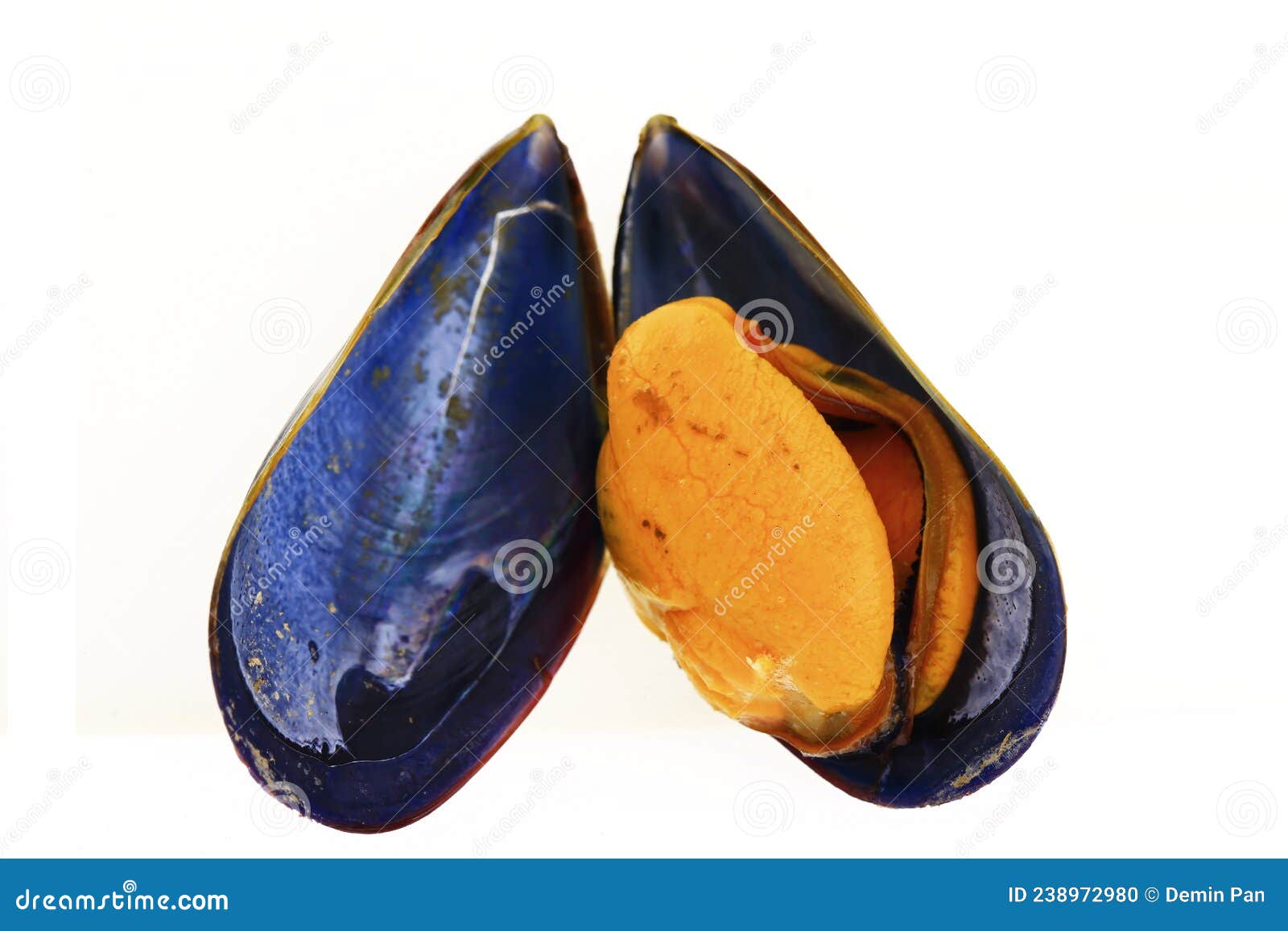 Mussels on a White Background Stock Photo - Image of food, health ...