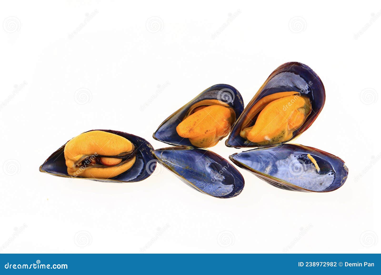 Mussels on a White Background Stock Photo - Image of protein, freshness ...