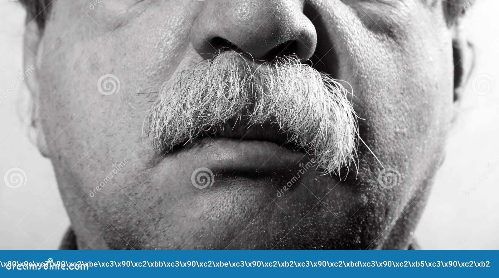Mustache stock image. Image of aged, face, human, person - 28530081