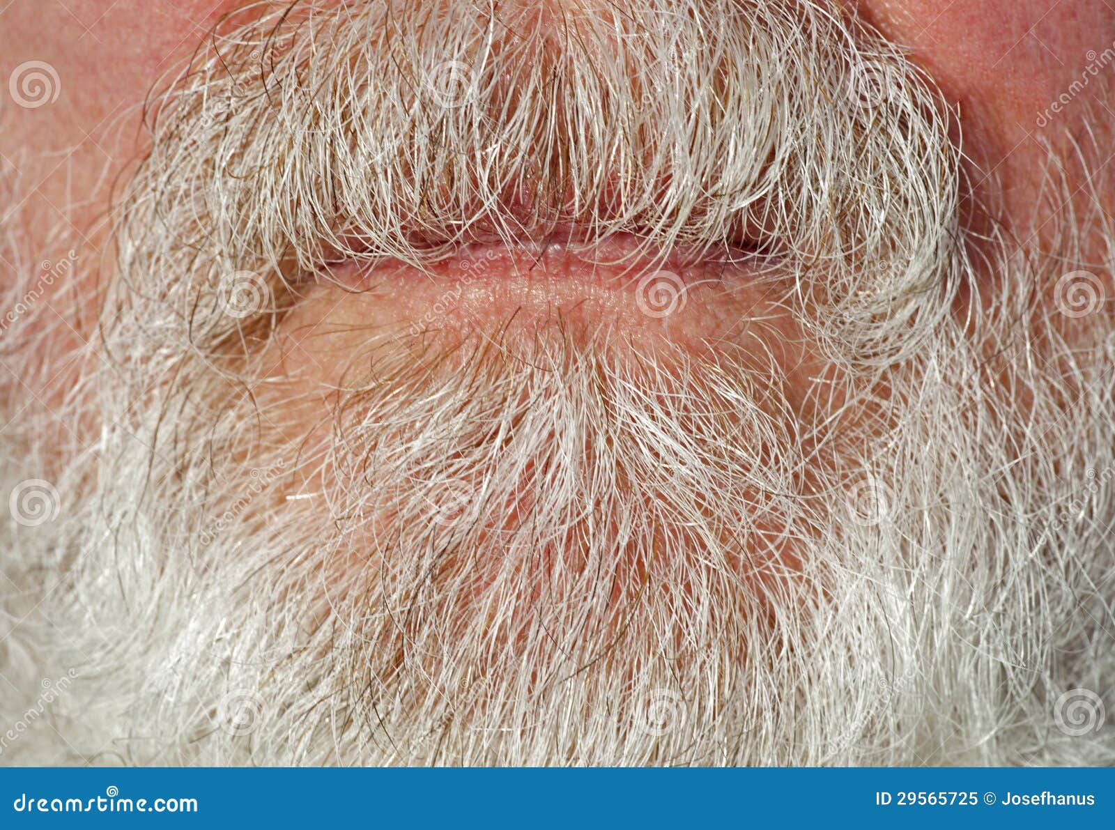 Mustache stock image. Image of face, mustache, hair, body - 29565725