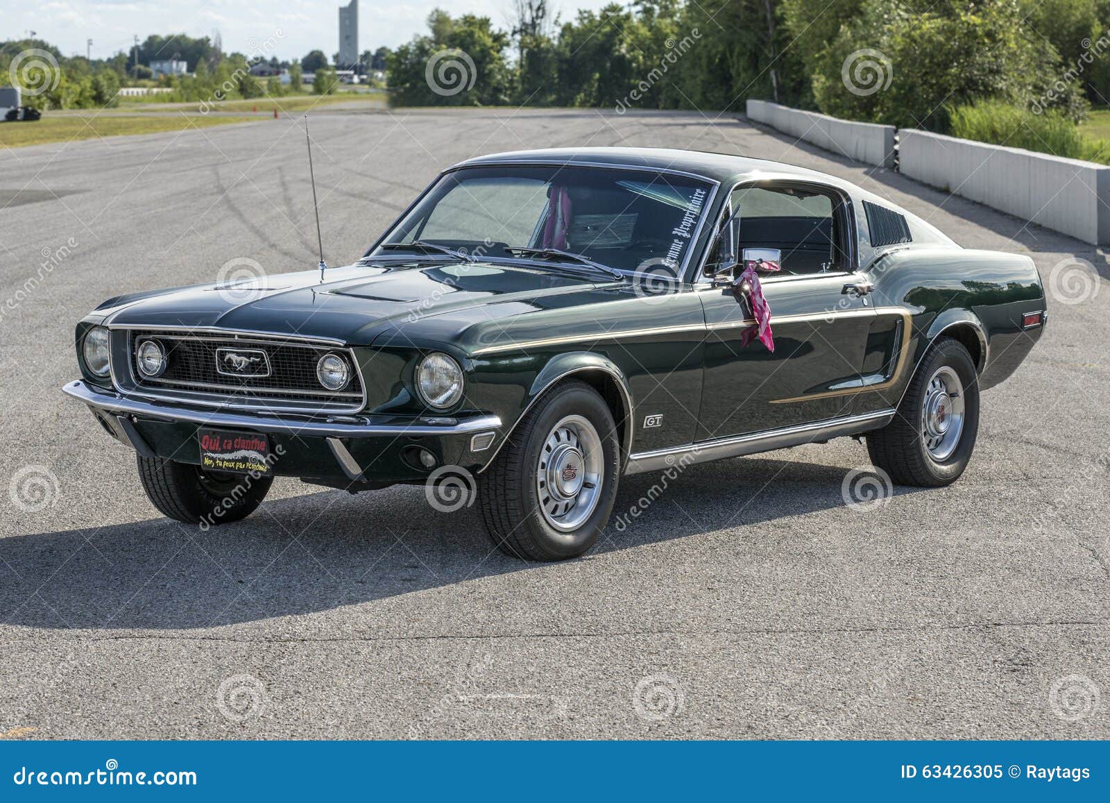 Mustang editorial image. Image of transportation, transport - 63426305