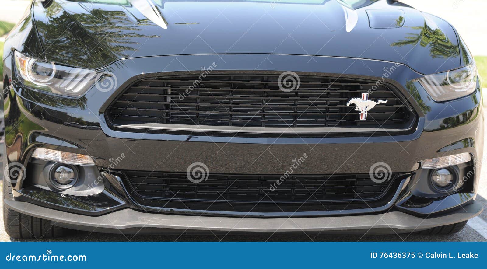 Mustang, Ford Late Model 2016 Editorial Image - Image of classic, ride ...
