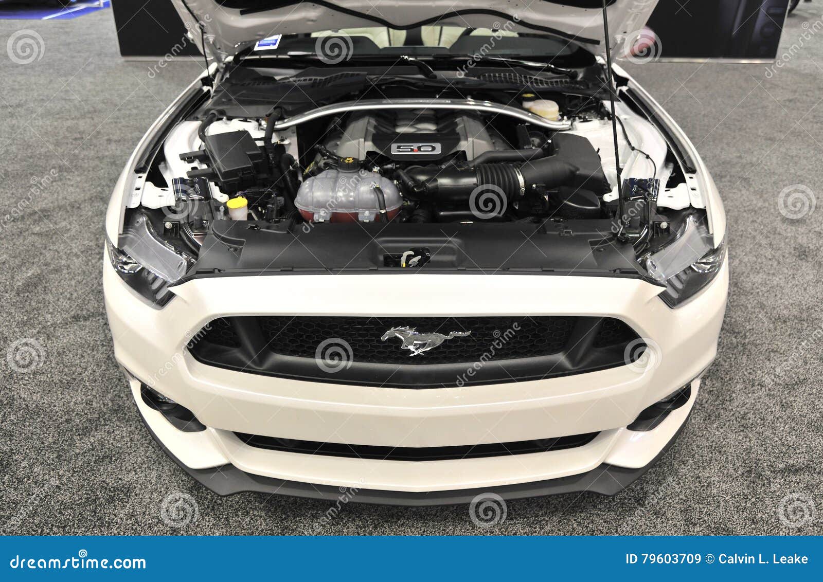 Mustang, Ford Late Model 2016 Engine Editorial Stock Image - Image of ...