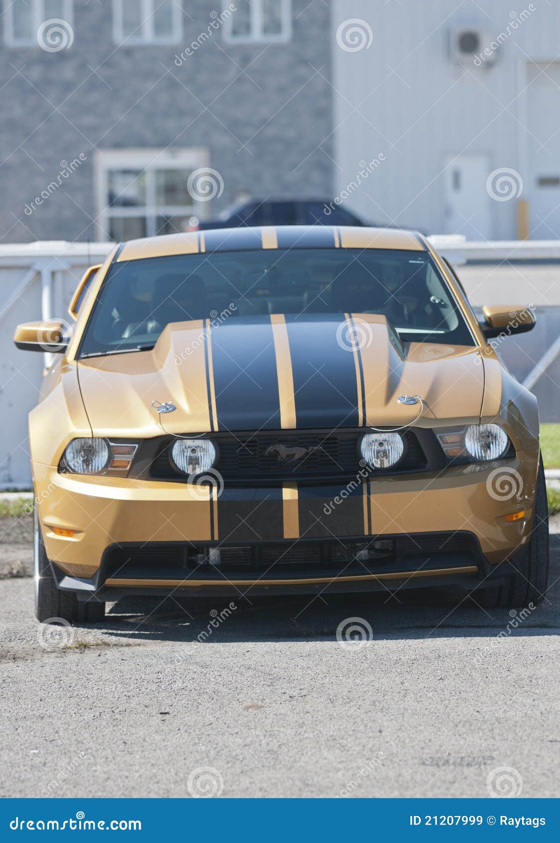 Mustang front end editorial stock image. Image of pony - 21207999