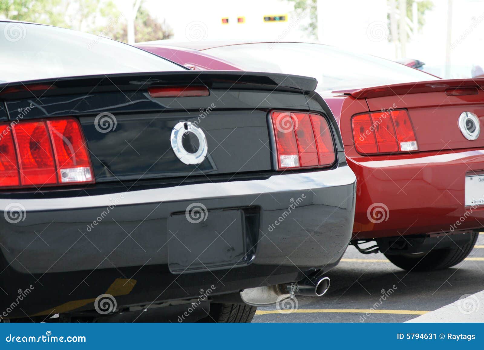 Mustang Rear End stock image. Image of black, derriere - 5794631