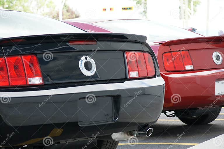 Mustang Rear End stock image. Image of black, derriere - 5794631