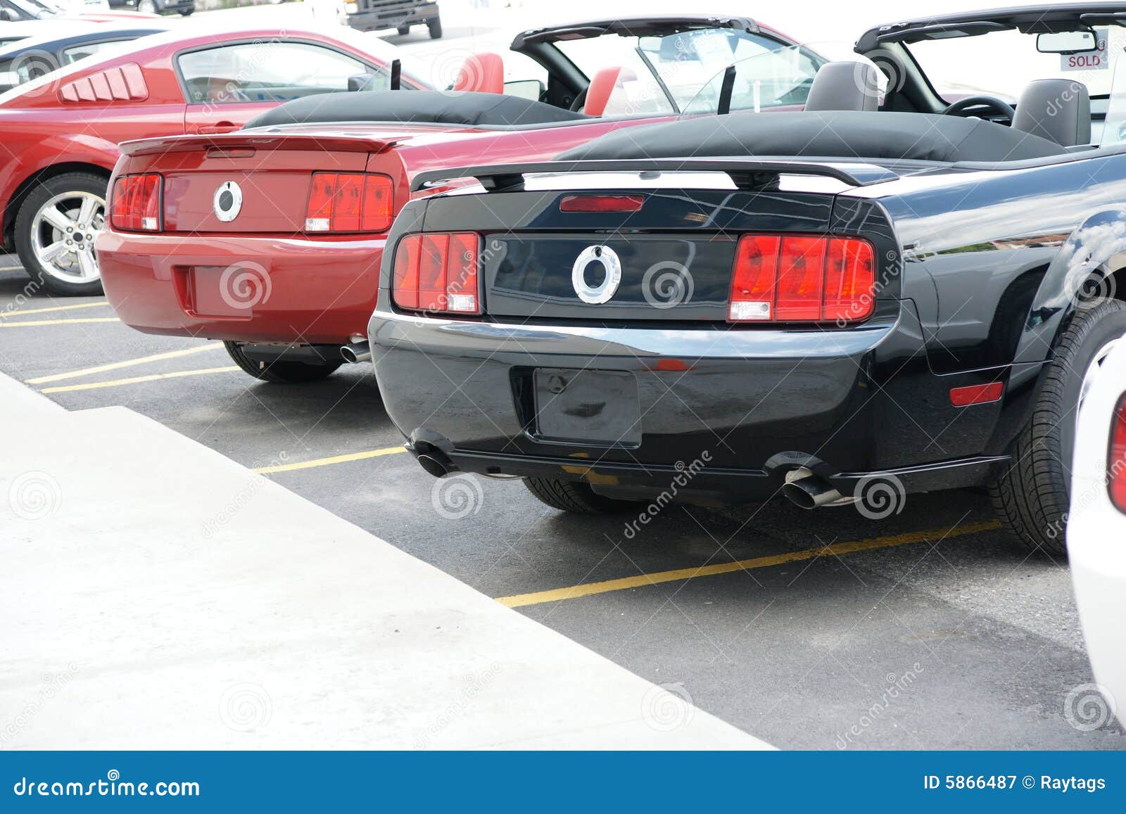 Mustang Rear End stock image. Image of nouveau, performance - 5866487