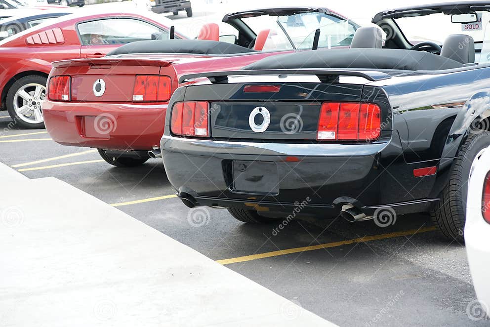 Mustang Rear End stock image. Image of nouveau, performance - 5866487