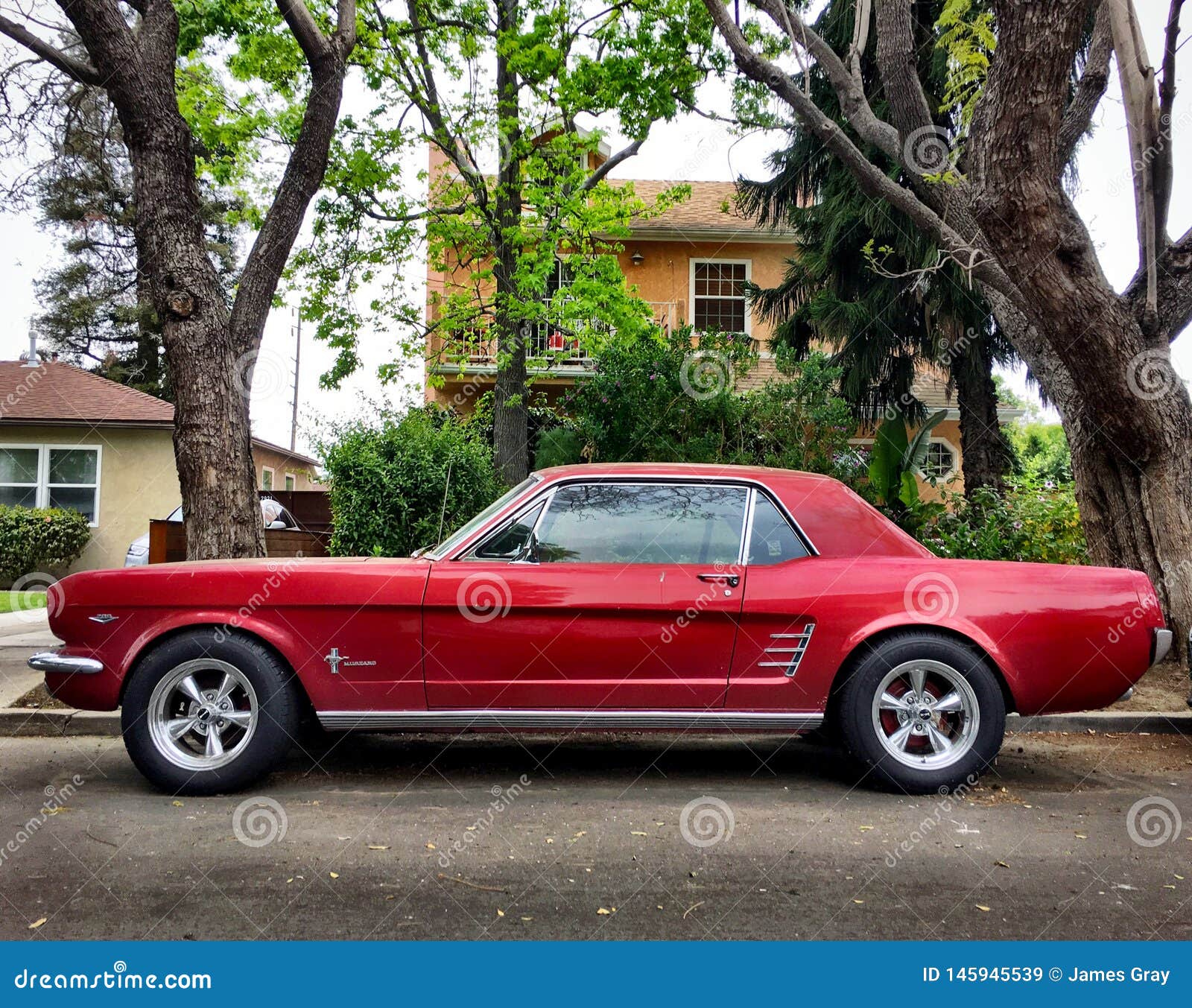 Mustang editorial stock image. Image of view, side, classic - 145945539