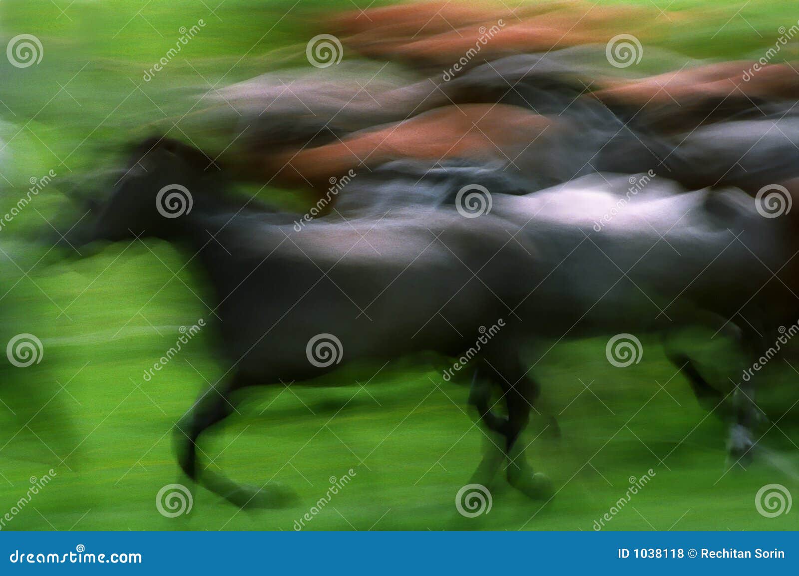 Mustangs stock photo. Image of movement, flee, galloping - 1038118