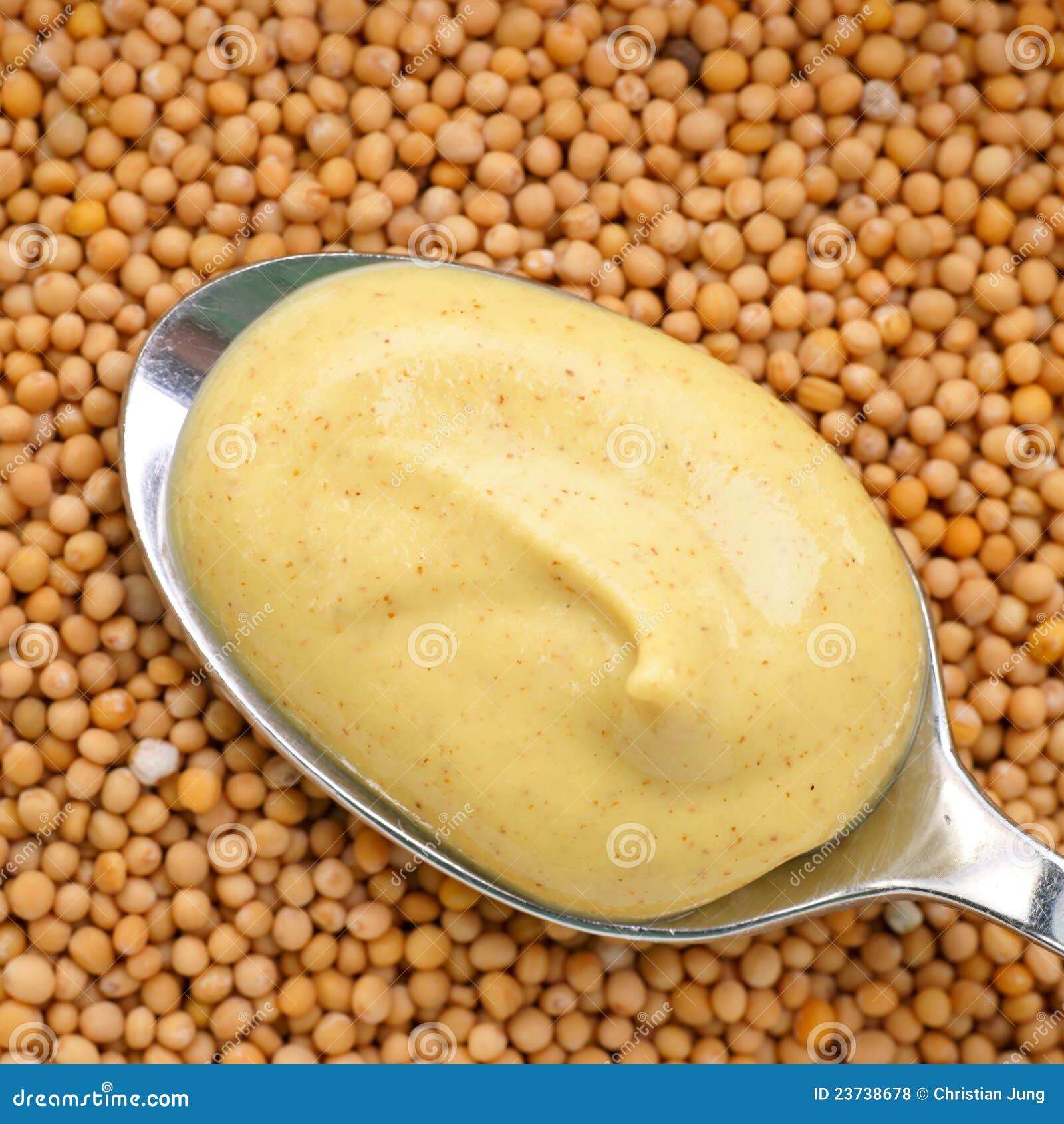 Mustard stock photo. Image of mustard, spice, nutrition - 23738678