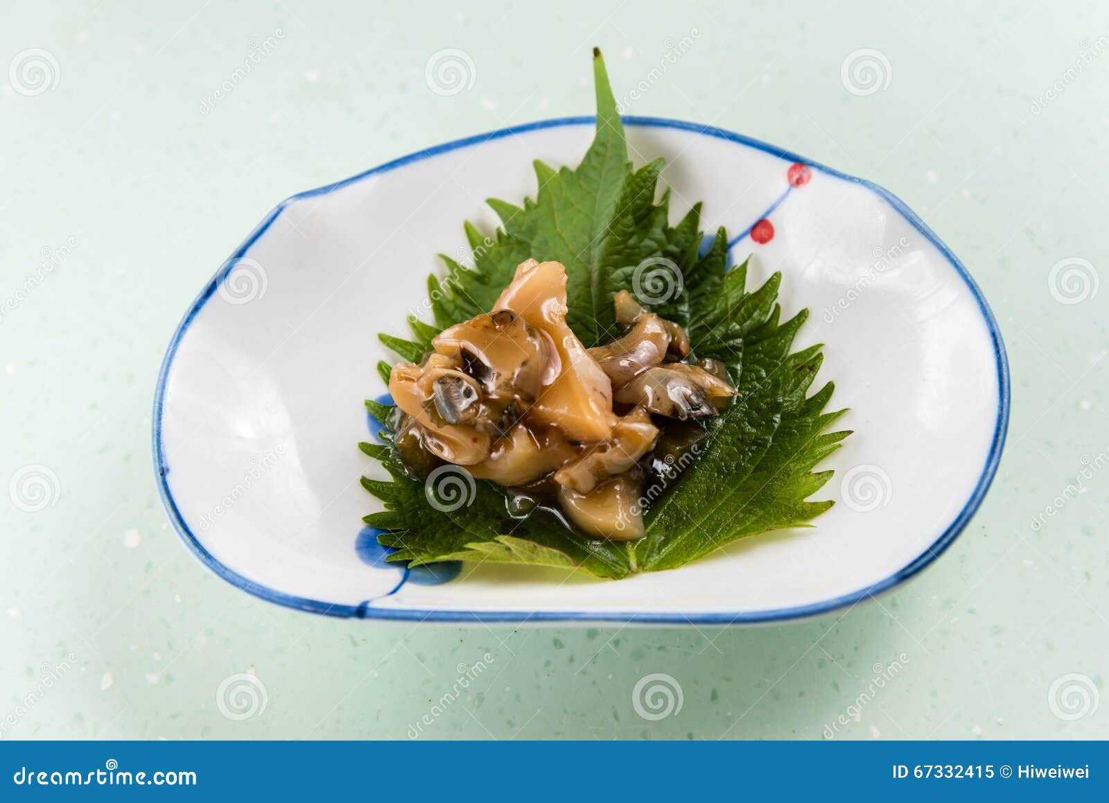 Mustard conch stock image. Image of snail, japan, meat - 67332415