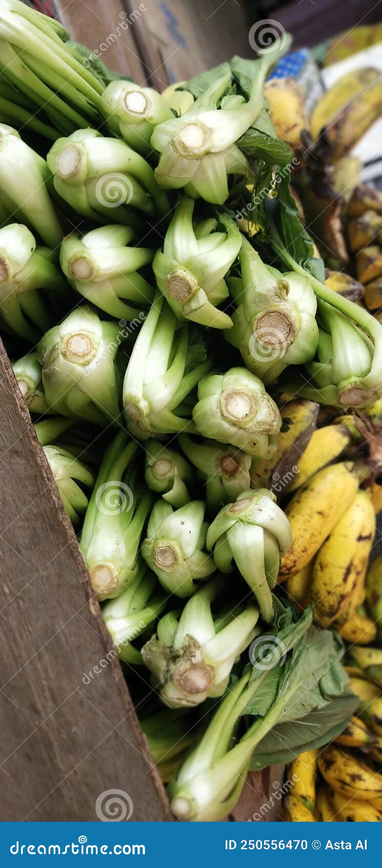 Mustard Sale in the Market stock photo. Image of produce - 250556470