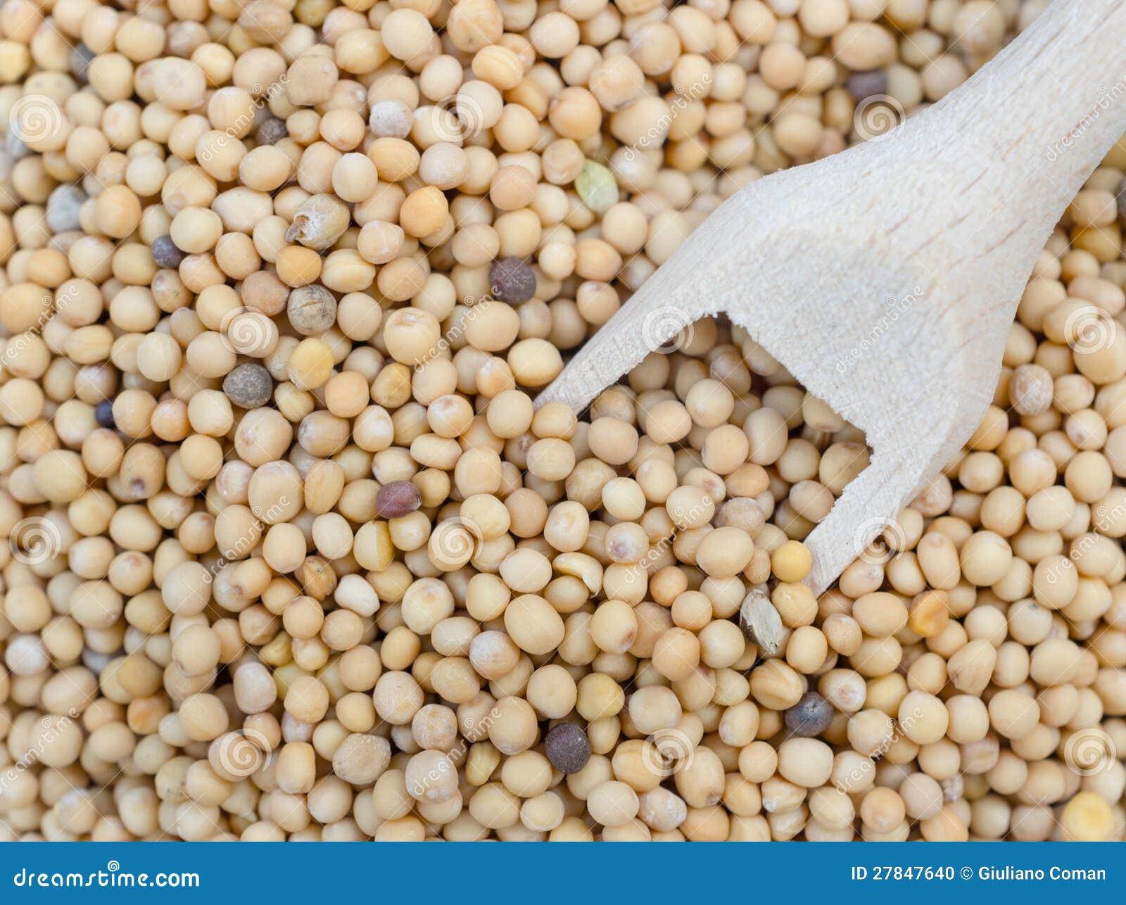 Mustard seed stock photo. Image of ball, ingredient, plant - 27847640