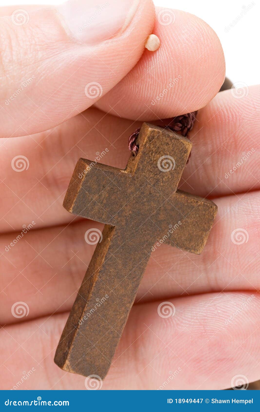 Mustard Seed - Symbol of Faith Stock Image - Image of believe, catholic ...