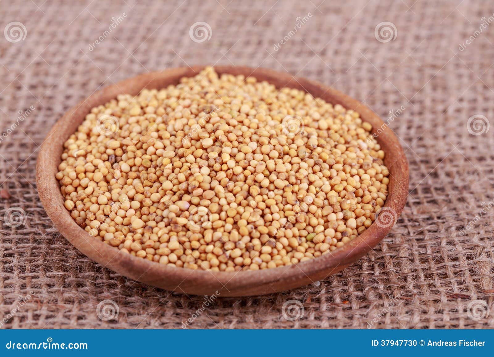 Mustard seeds stock photo. Image of flavor, grains, food - 37947730