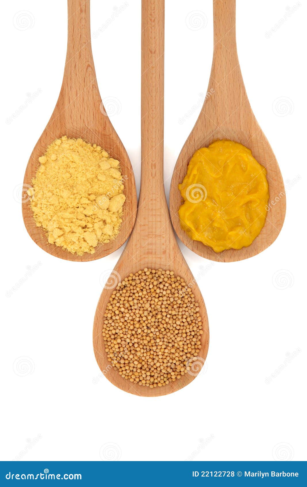 Mustard Selection stock photo. Image of yellow, spice - 22122728