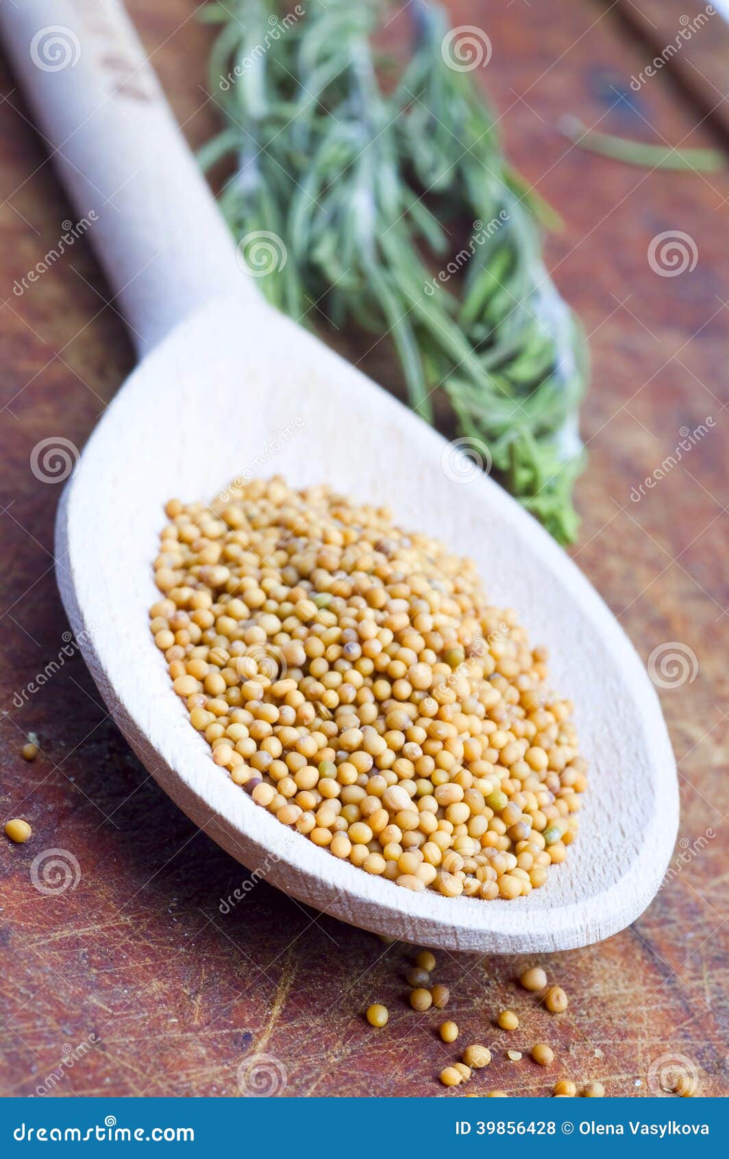 Mustard spice in spoon stock photo. Image of cooking - 39856428