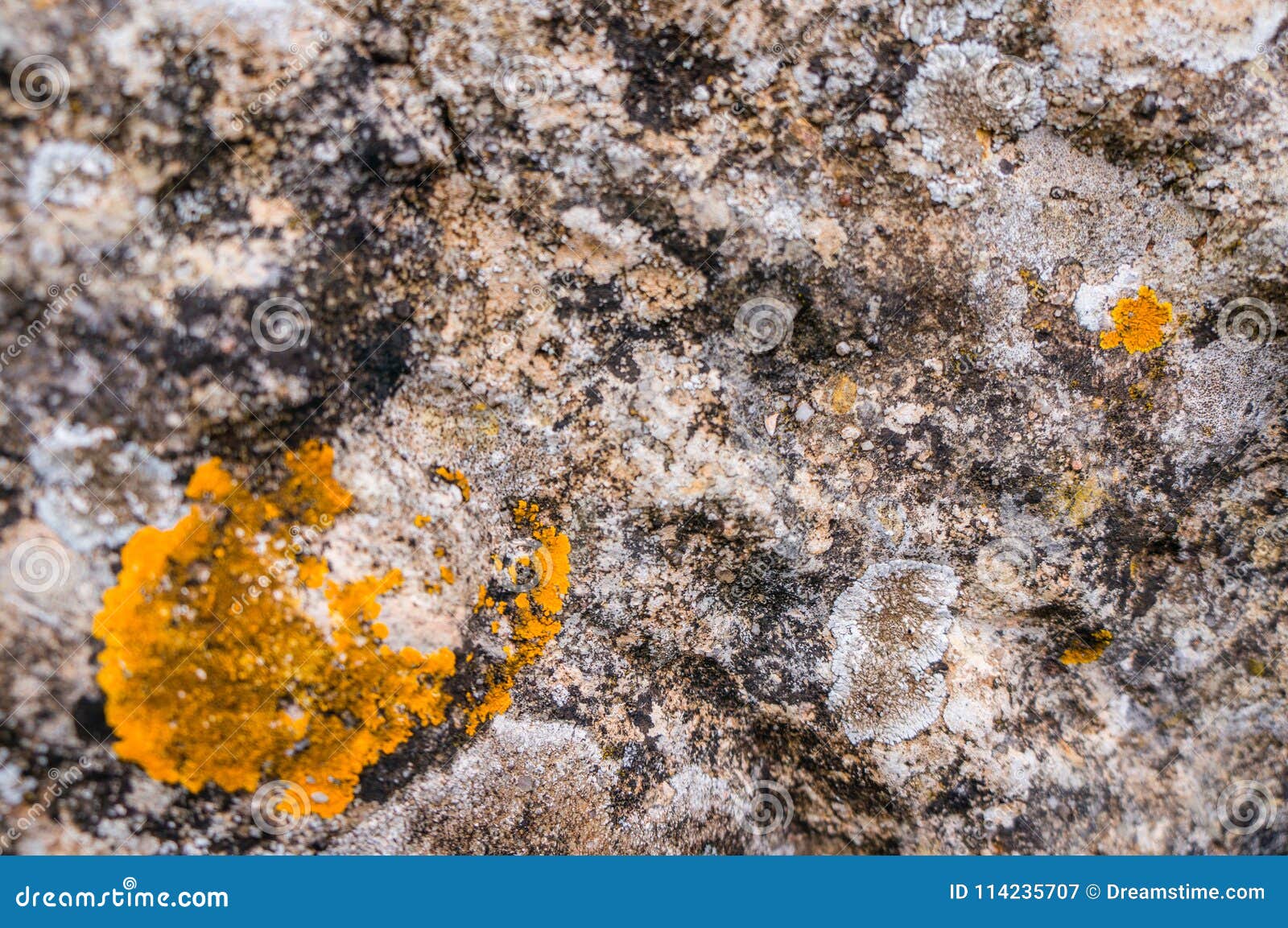 Mustard stone ,natural stock image. Image of aged, black - 114235707