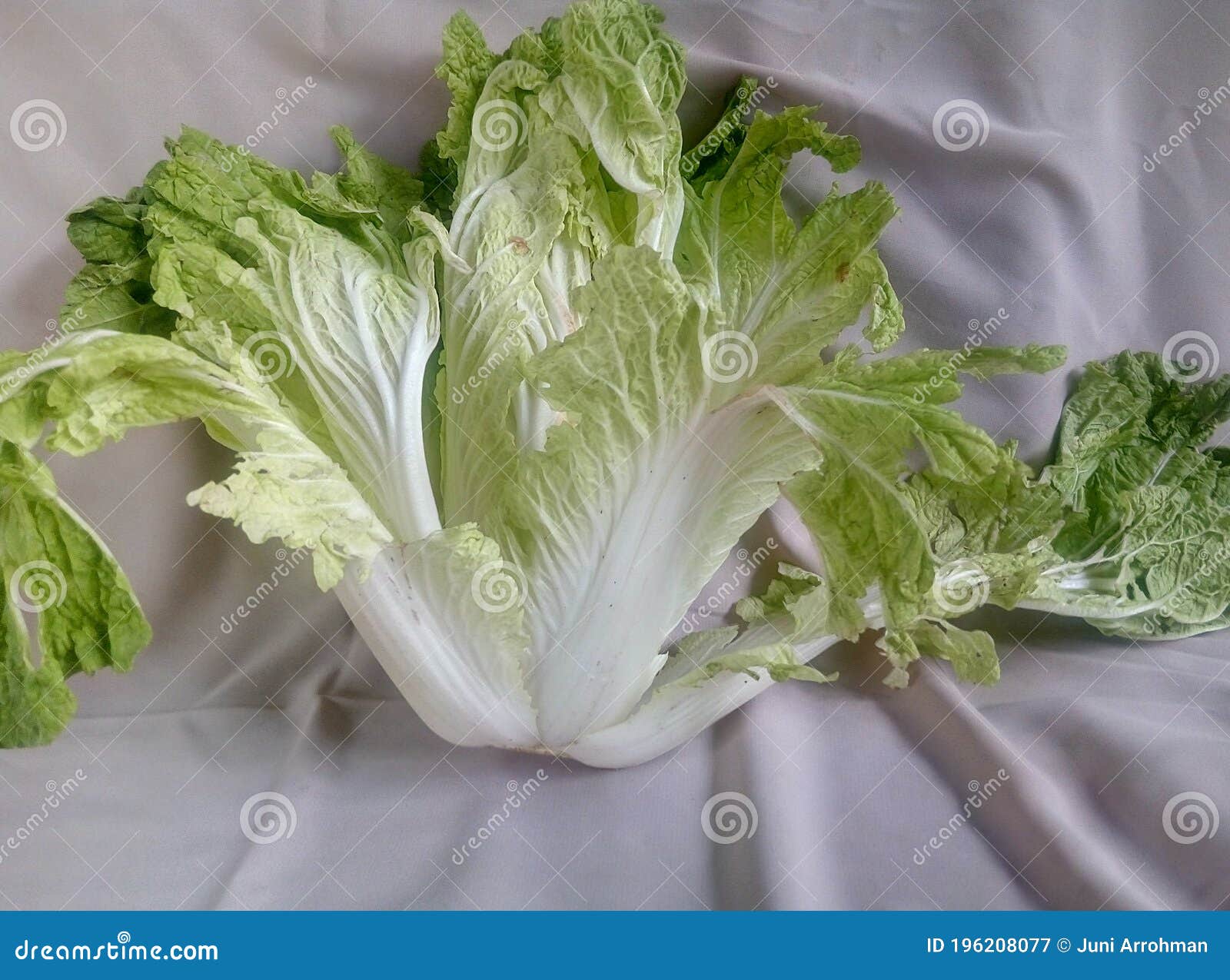 This is a Mustard Vegetable for Making Vegetables Stock Image - Image ...
