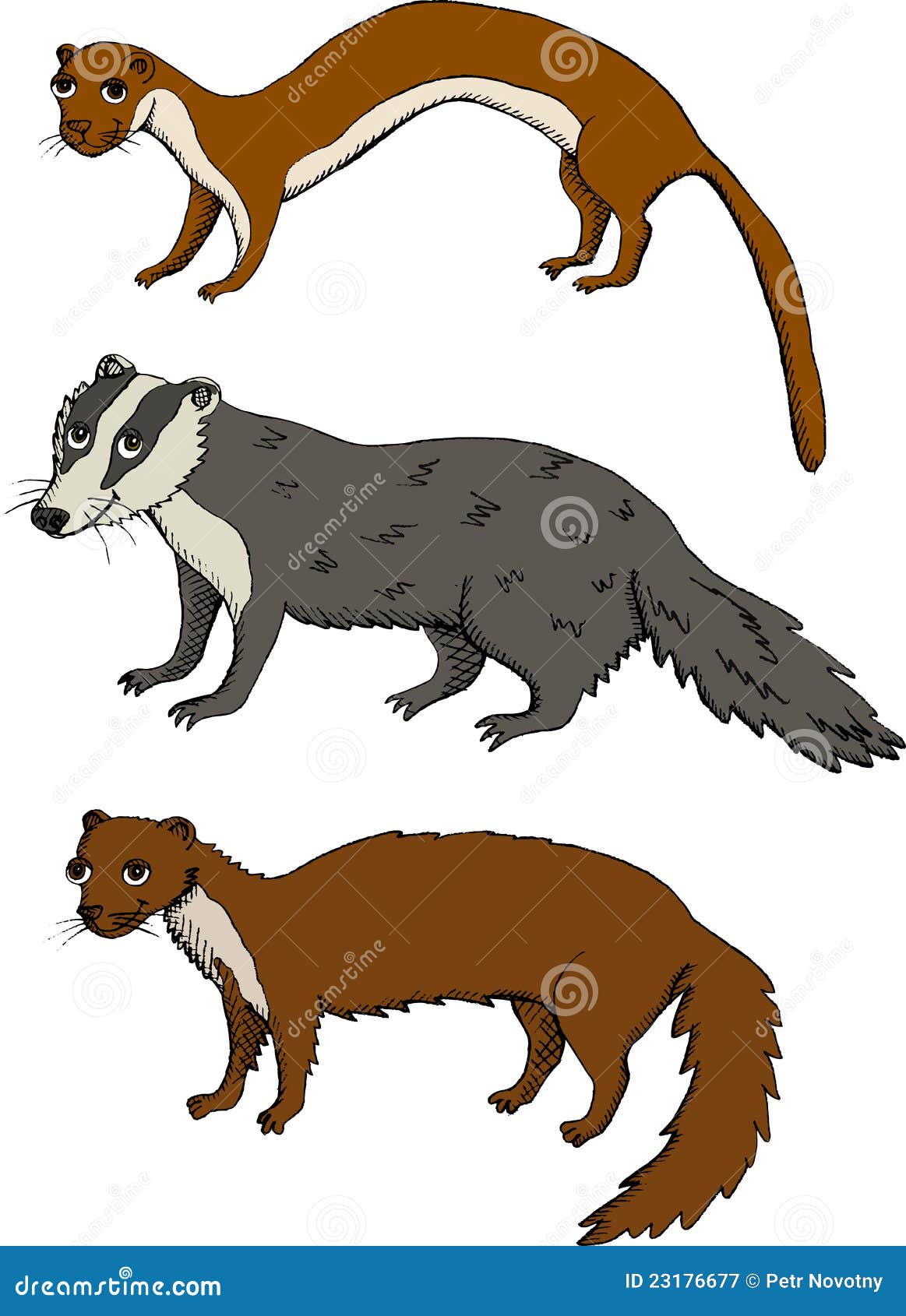 Royalty Free Images, Cartoons, Illustrations And Photos Designed By ...