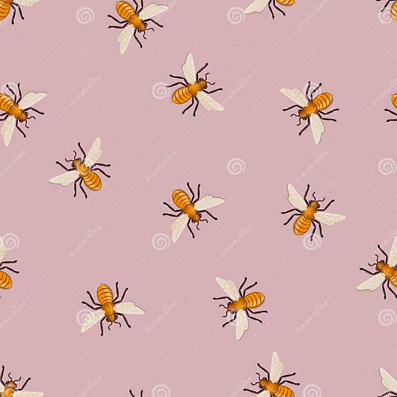 Muster Von Honig Beesvector Illustration Vektor Abbildung - Illustration von fliege, gesund ...