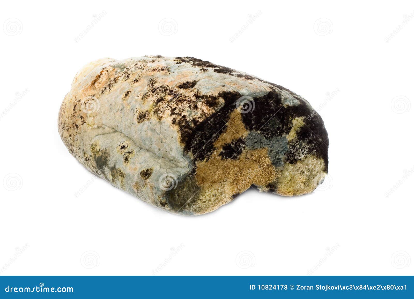 Musty bread stock photo. Image of nuisance, contaminate - 10824178