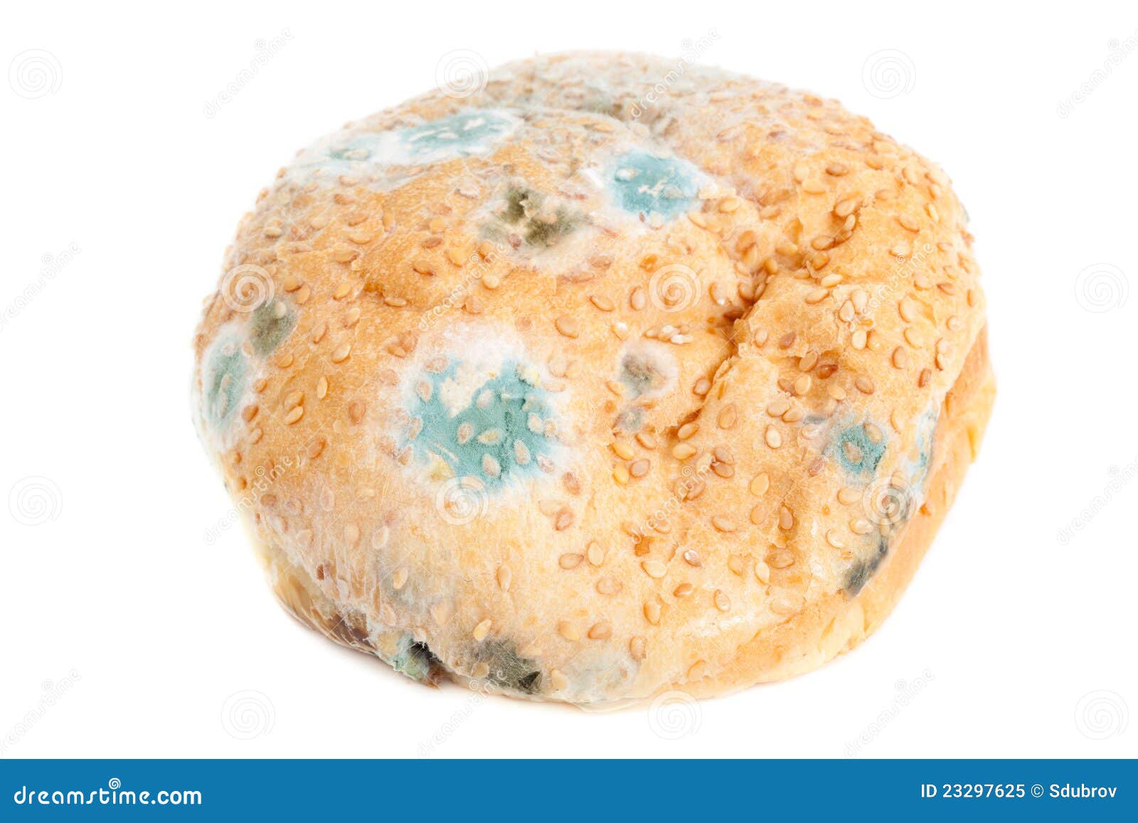 Musty Hamburger Royalty Free Stock Photo - Image: 23297625