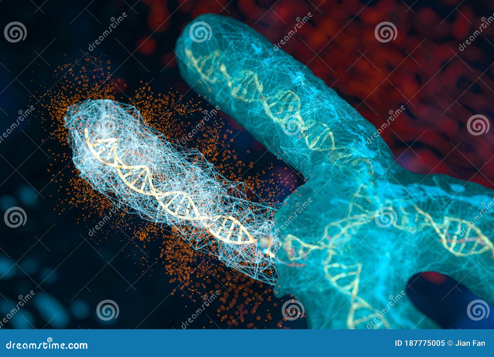 Mutation. Chromosome Abnormality Cartoon Vector | CartoonDealer.com ...