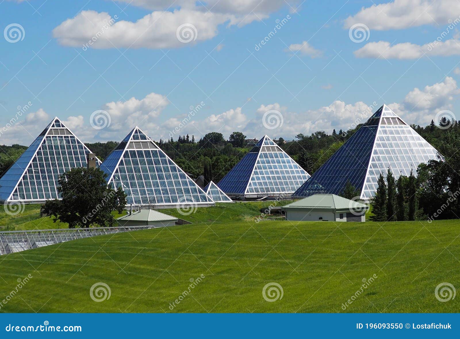 Muttart Conservatory Edmonton with Five Pyramids Editorial Image ...