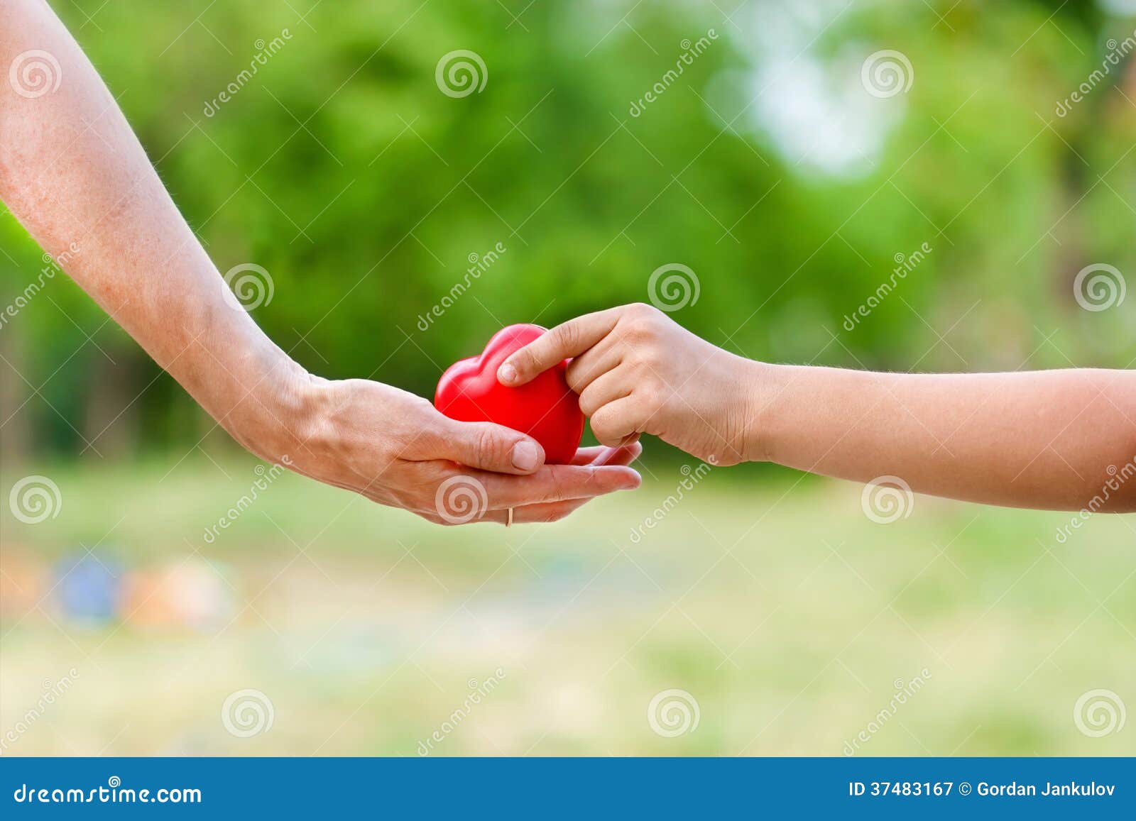 Mutterliebe in Der Hand, Auf Der Palme Stockbild - Bild von einflüsse ...