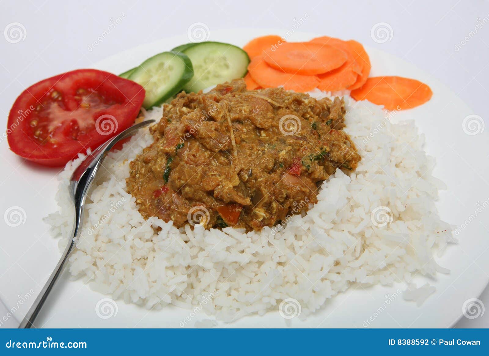 Mutton mughlai curry stock photo. Image of asian, horizontal - 8388592
