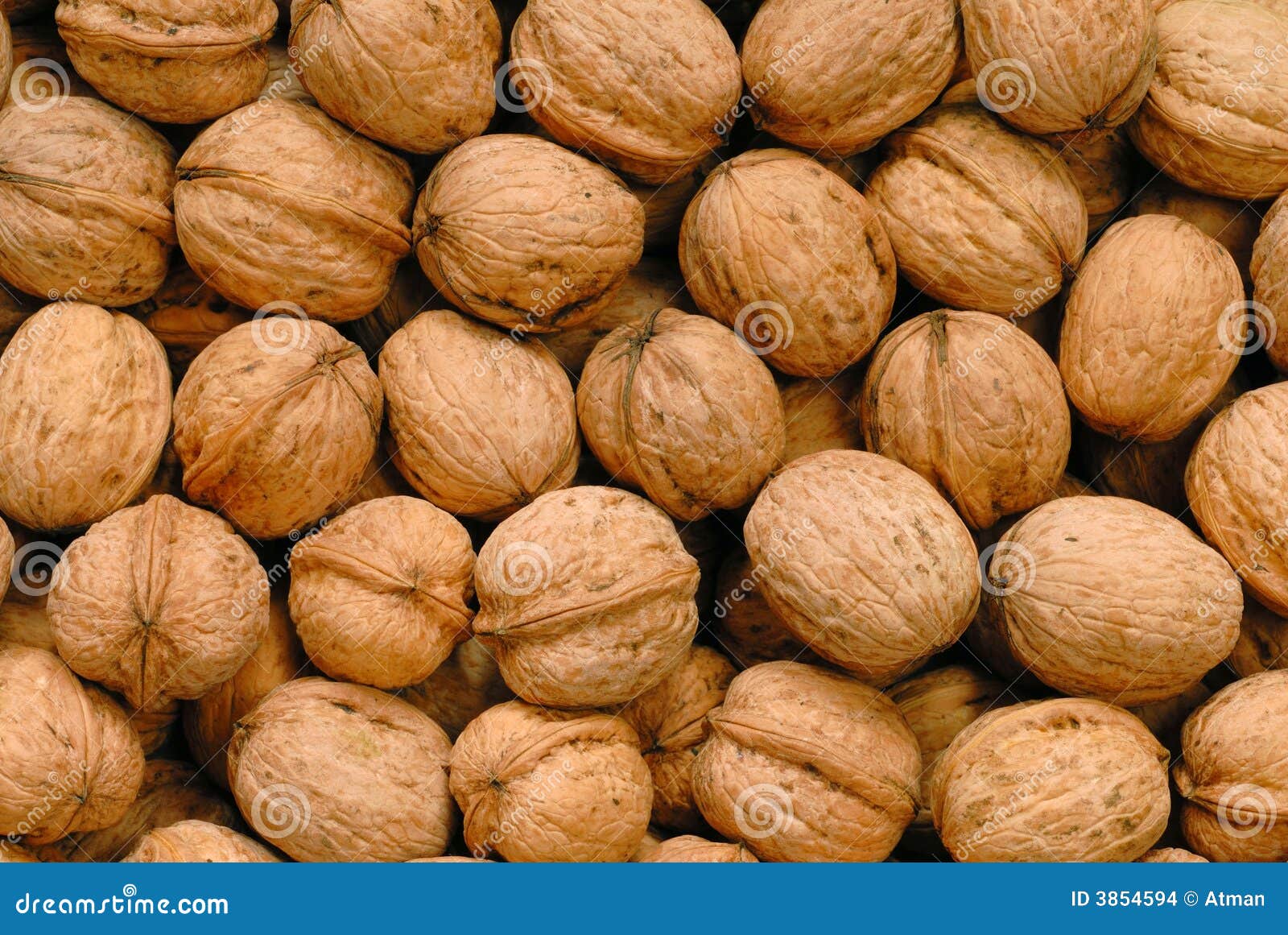 Muttrar arkivfoto. Bild av bakgrund, valnöt, valnötter - 3854594