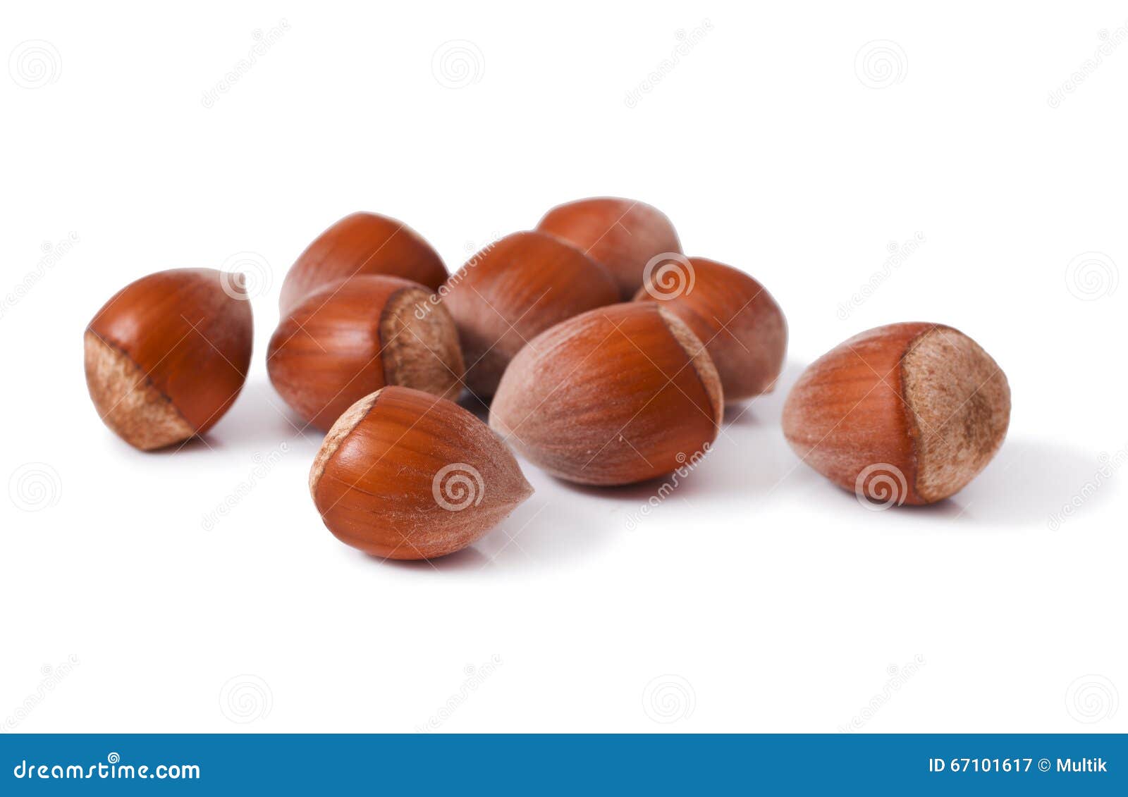 Muttrar fotografering för bildbyråer. Bild av närande - 67101617