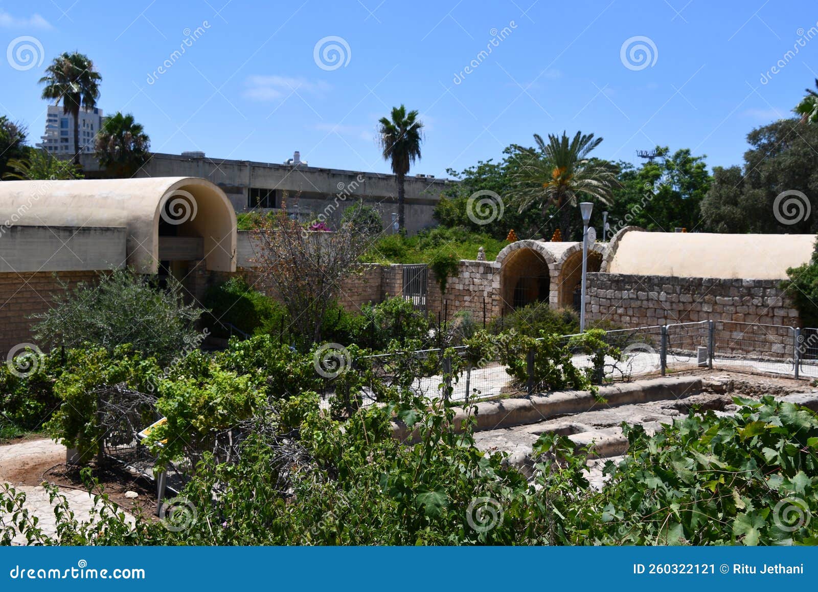 Muza Eretz Israel Museum in Tel Aviv, Israel Editorial Photo - Image of ...