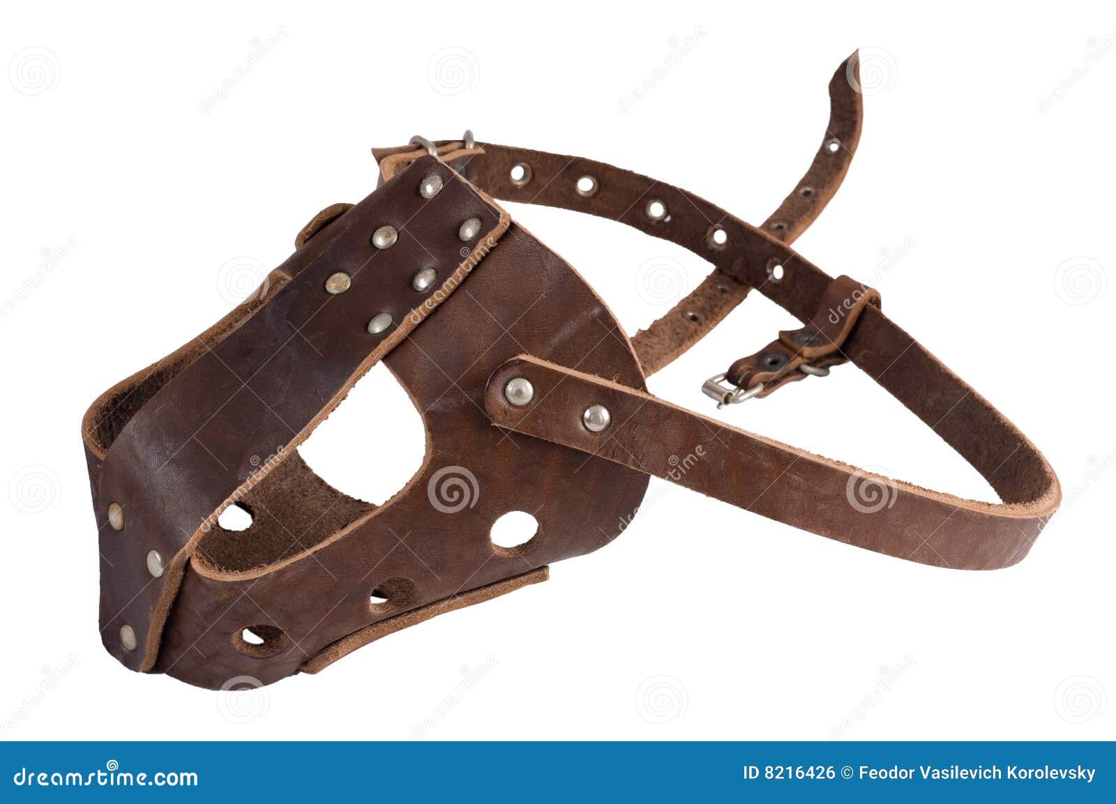 Muzzle. Picture Image: 8216426