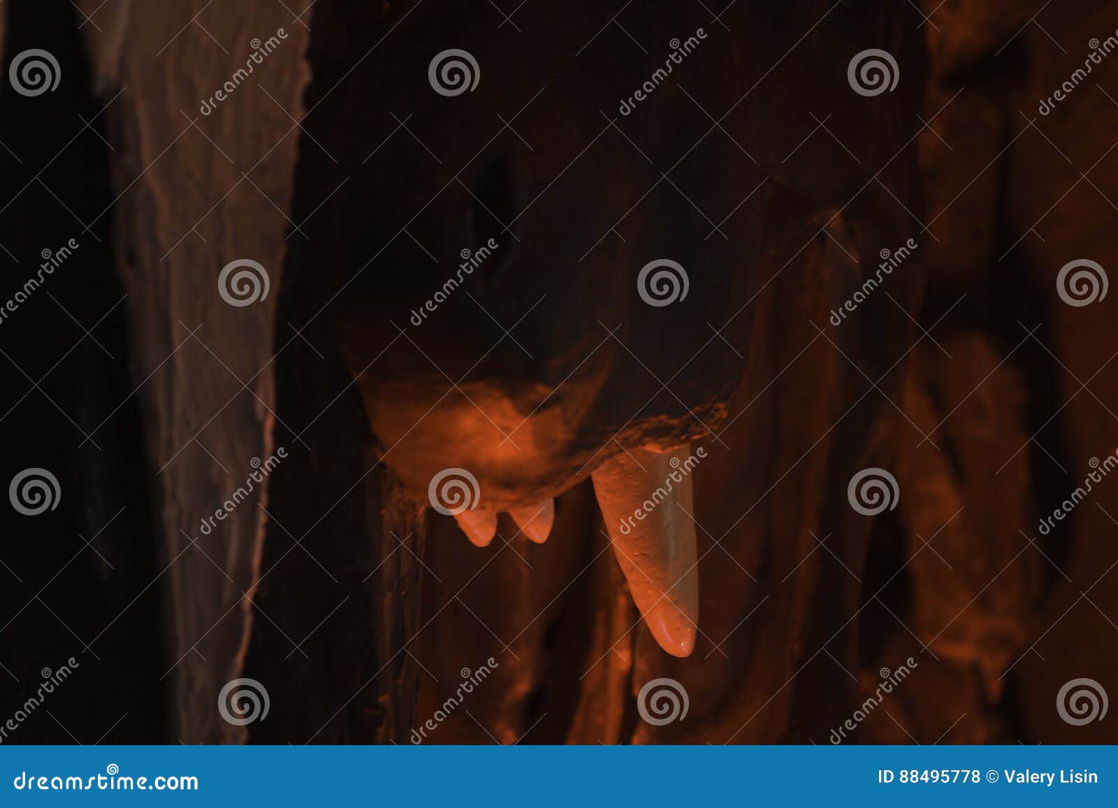 Muzzle dinosaur cave stock photo. Image of horror, tyrannosaur - 88495778