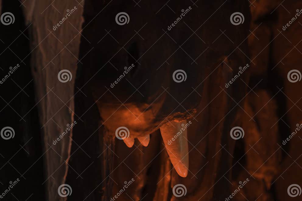 Muzzle dinosaur cave stock photo. Image of horror, tyrannosaur - 88495778