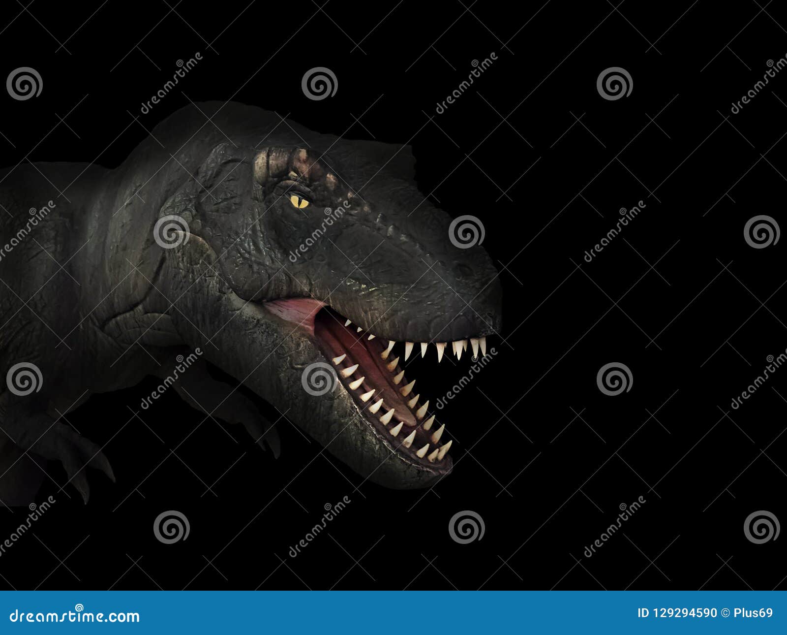 Muzzle of a Dinosaur Close-up on a Black Background Stock Illustration ...