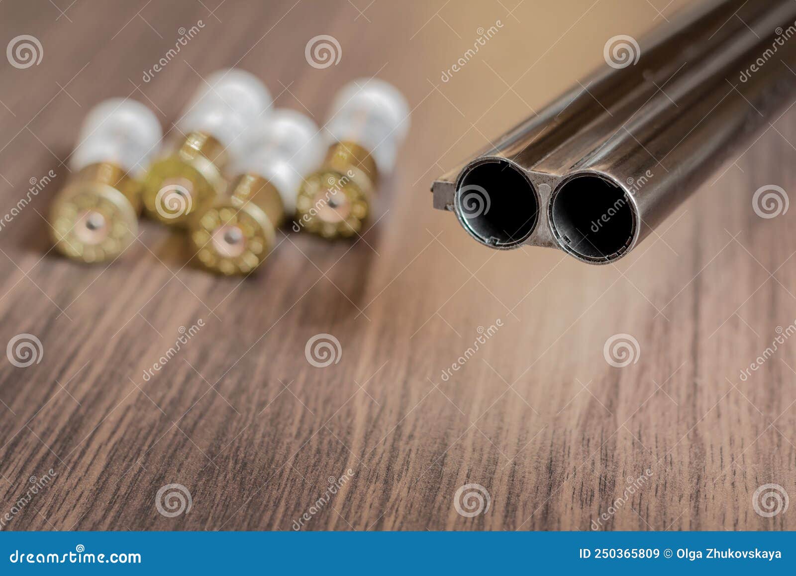 Muzzle of a Hunting Rifle with Cartridges Stock Image - Image of save ...
