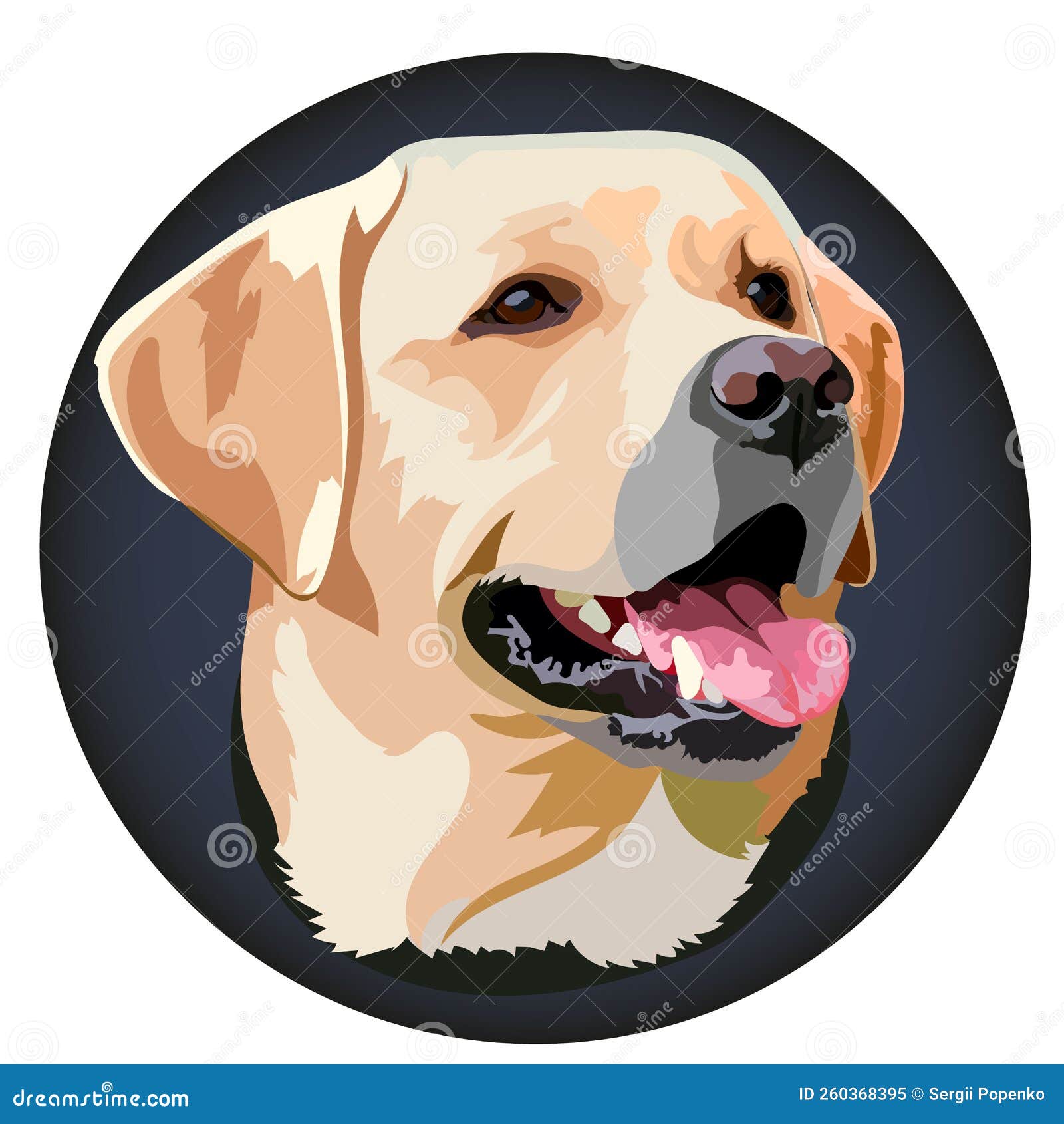 Muzzle Labrador Retriever Vector Illustration Stock Vector ...
