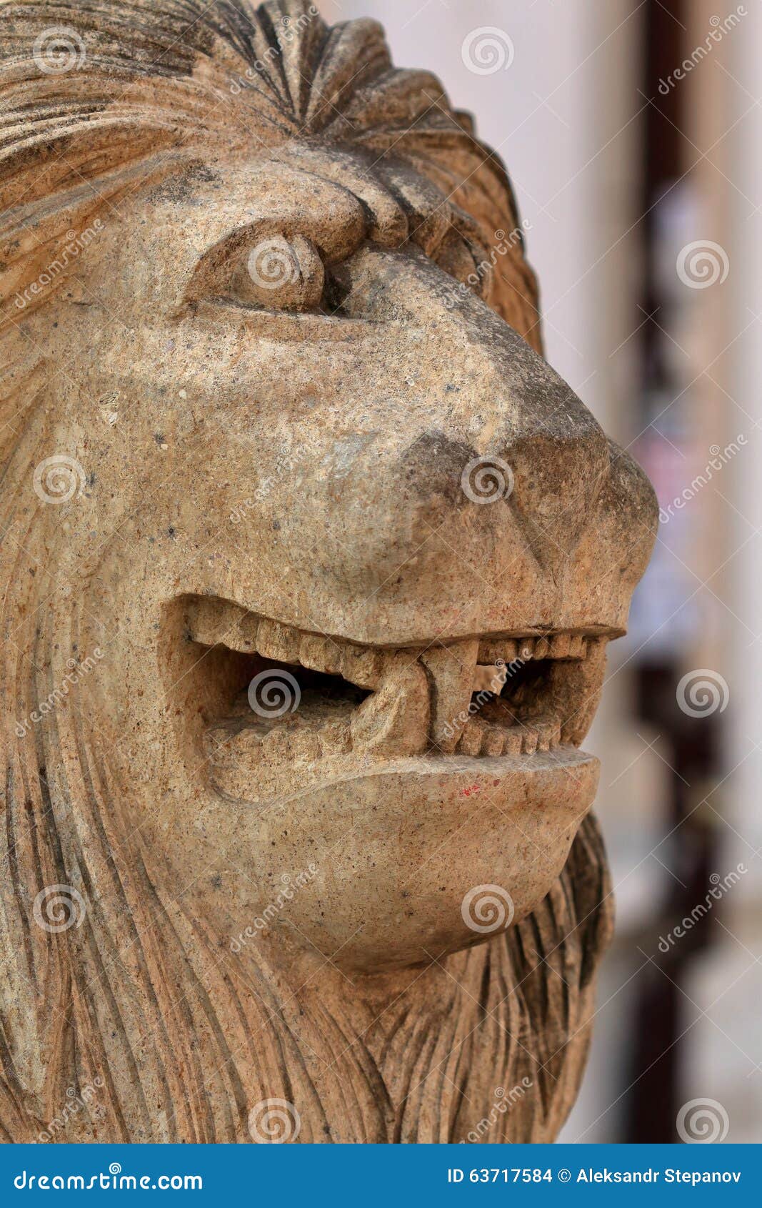 Muzzle Of A Lion With A Mane Black And White With Amber Eyes, Isolated ...