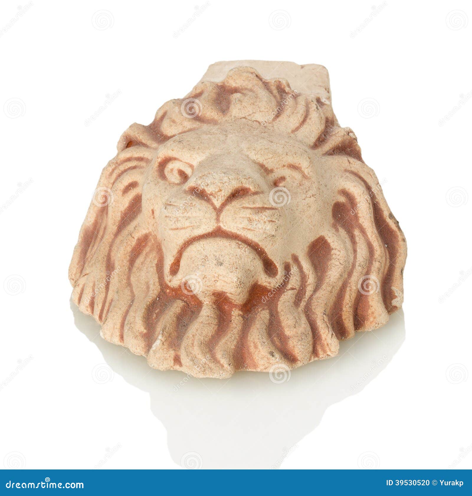 Muzzle Lion Profile Stock Photos - Download 67 Royalty Free Photos