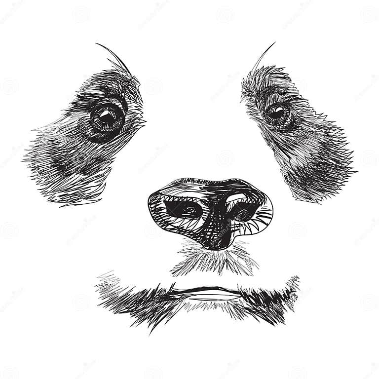 Muzzle Panda on a White Background Stock Vector - Illustration of funny ...
