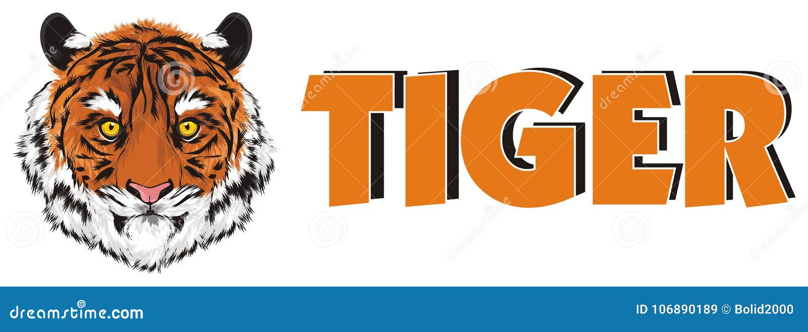 Tiger and his name stock illustration. Illustration of head - 106890189