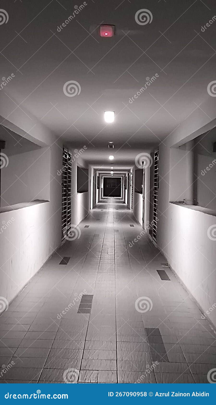 My Apartment Corridor at Night Stock Photo - Image of ceiling, light ...