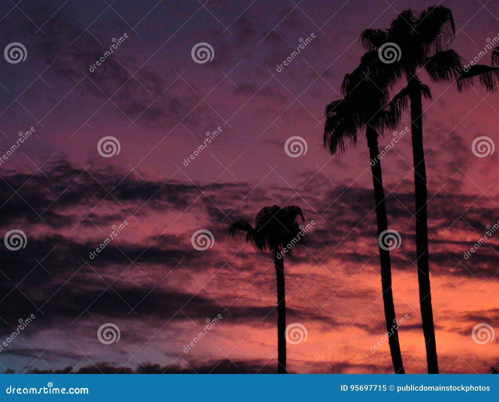 My Evening View From The Driveway Picture. Image: 95697715