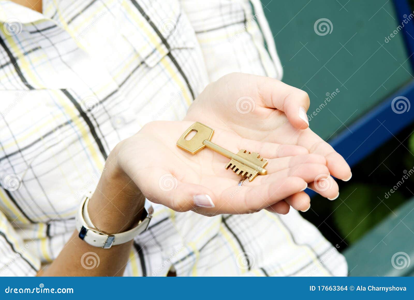 My first home stock photo. Image of real, candid, shopping - 17663364